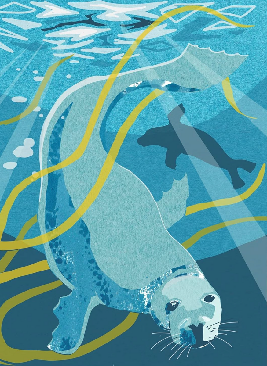 Nature Notebook - Seal – Ninianshetland